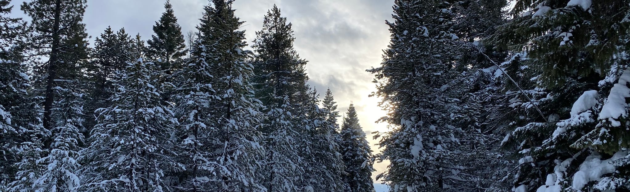 Meacham Divide Trail, Oregon - 30 Reviews, Map | AllTrails