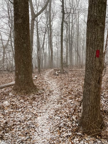 Best Hikes and Trails in Coventry Woods Park | AllTrails