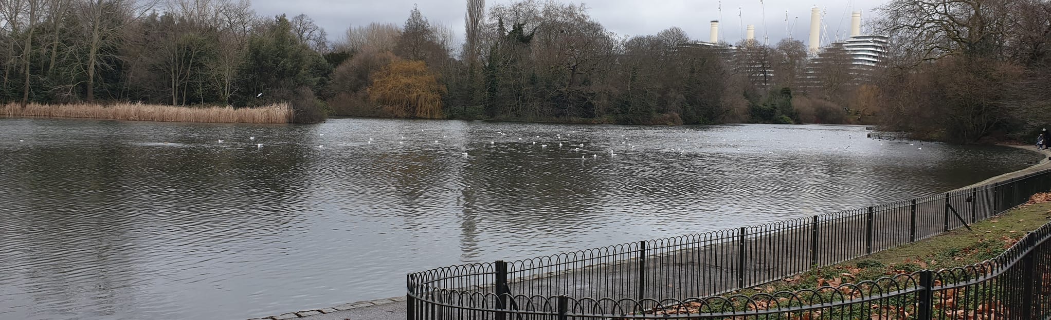 Battersea Park and River Thames Circular: 72 foto's - London, Engeland ...