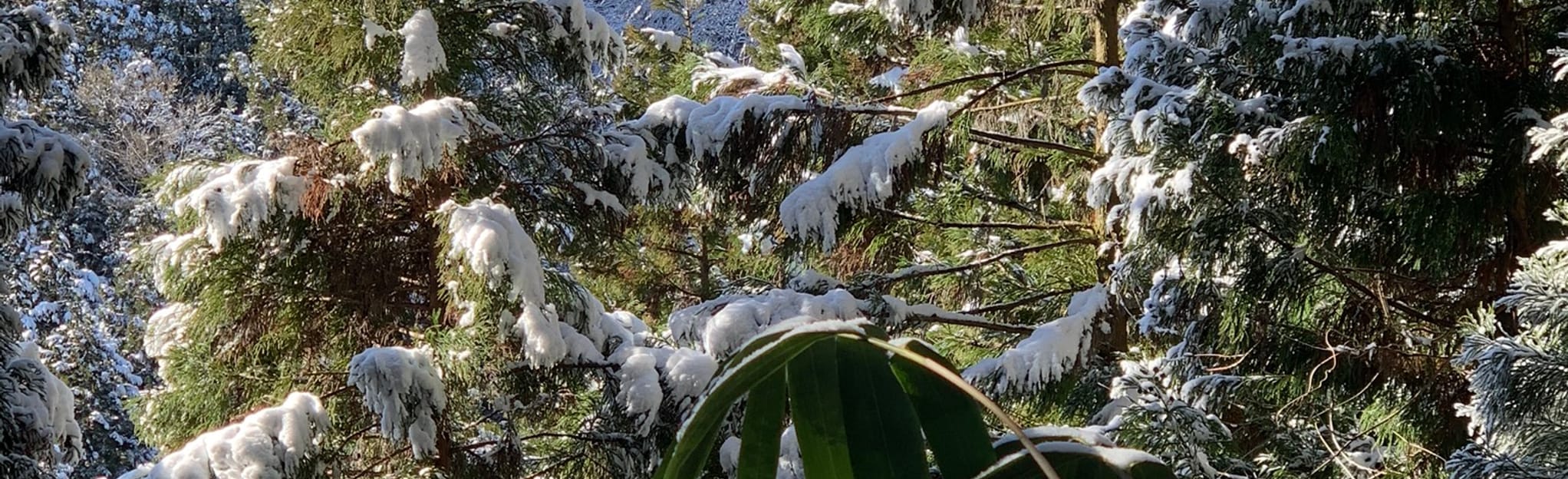 Takimoto Station - Mount Mitake - Mount Otsuka | Map, Guide - Tokyo ...