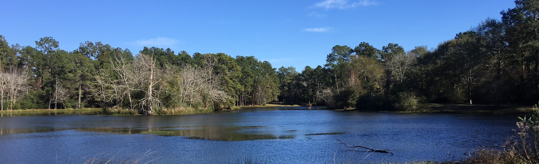 Spring Creek Wetland Loop, Texas - 60 Reviews, Map | AllTrails