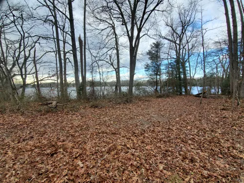 Best Hikes and Trails in Belleplain State Forest | AllTrails