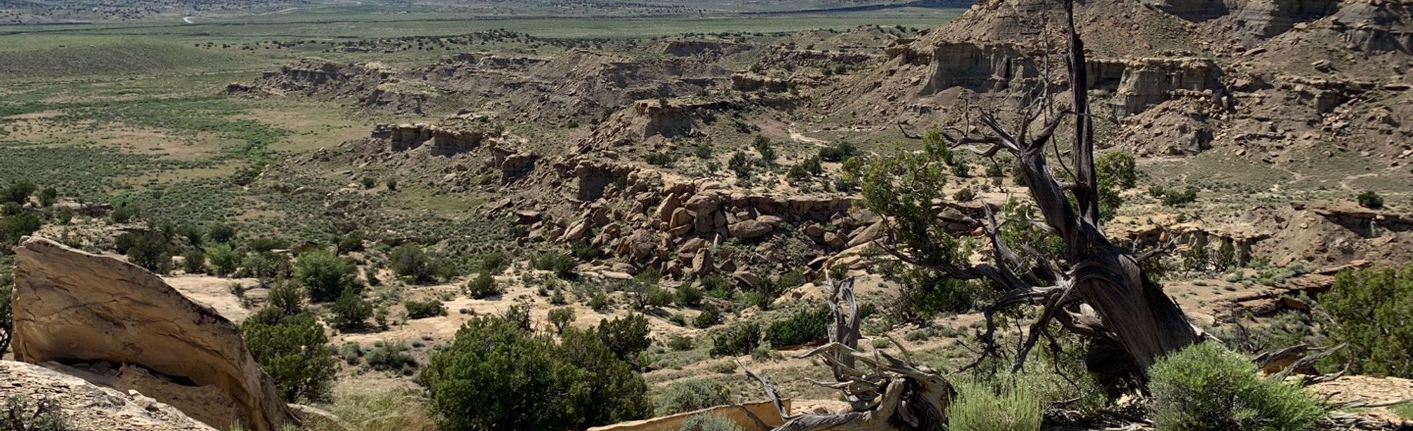 Mentmore Mountain Bike Trails, New Mexico - 54 Reviews, Map | AllTrails