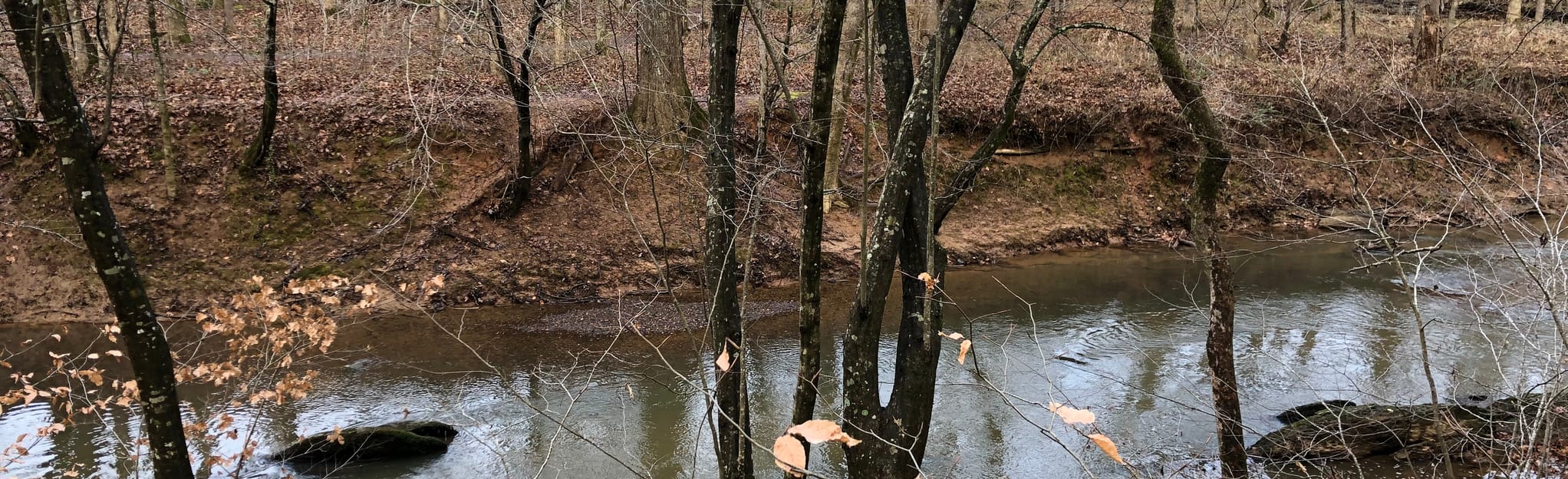 Spectator Trace, Wolf Tree Trace, and Beech Bluff Trails, North ...