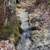 Beckwith Point Trail, Tennessee - 126 Reviews, Map | AllTrails