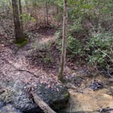Beckwith Point Trail, Tennessee - 126 Reviews, Map | AllTrails