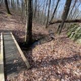 Beckwith Point Trail, Tennessee - 126 Reviews, Map | AllTrails