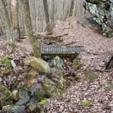 Beckwith Point Trail, Tennessee - 156 Reviews, Map | AllTrails