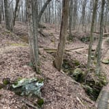 Beckwith Point Trail, Tennessee - 156 Reviews, Map | AllTrails