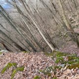 Beckwith Point Trail, Tennessee - 156 Reviews, Map | AllTrails