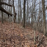 Beckwith Point Trail, Tennessee - 125 Reviews, Map | AllTrails