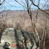 Beckwith Point Trail, Tennessee - 125 Reviews, Map | AllTrails