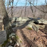 Beckwith Point Trail, Tennessee - 125 Reviews, Map | AllTrails