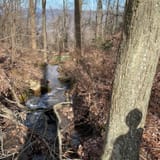 Beckwith Point Trail, Tennessee - 125 Reviews, Map | AllTrails