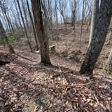 Beckwith Point Trail, Tennessee - 125 Reviews, Map | AllTrails