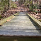 Beckwith Point Trail, Tennessee - 125 Reviews, Map | AllTrails