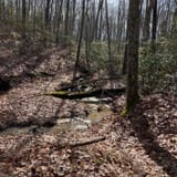 Beckwith Point Trail, Tennessee - 125 Reviews, Map | AllTrails