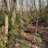 Beckwith Point Trail, Tennessee - 125 Reviews, Map | AllTrails