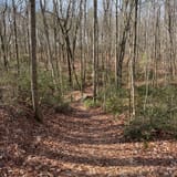 Beckwith Point Trail, Tennessee - 125 Reviews, Map | AllTrails
