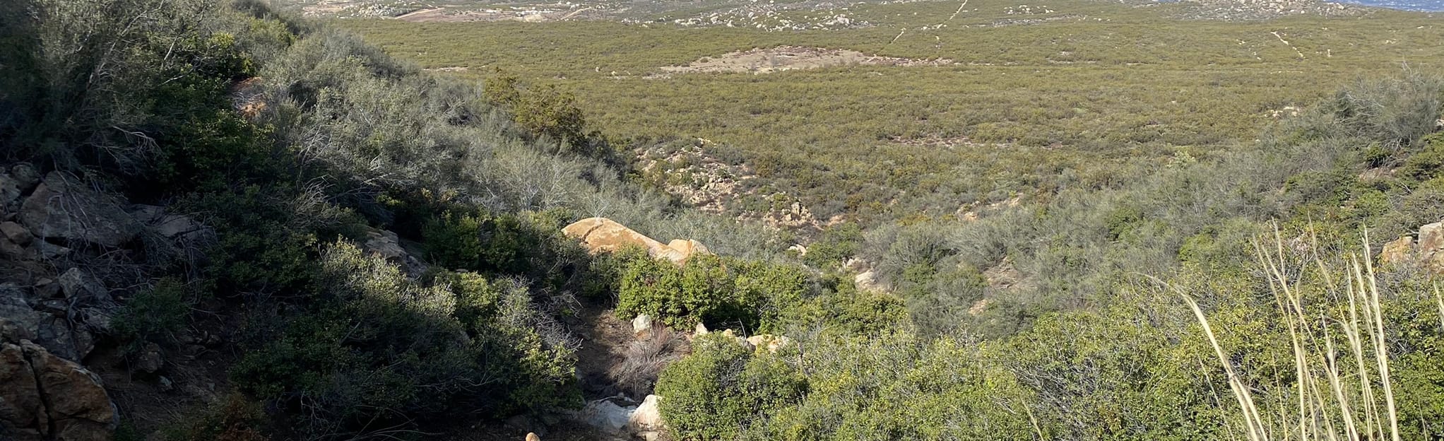 Beauty Peak and Iron Spring Mountain, California - 15 Reviews, Map ...