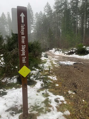 Best 10 Hikes and Trails in Tahuya State Forest | AllTrails