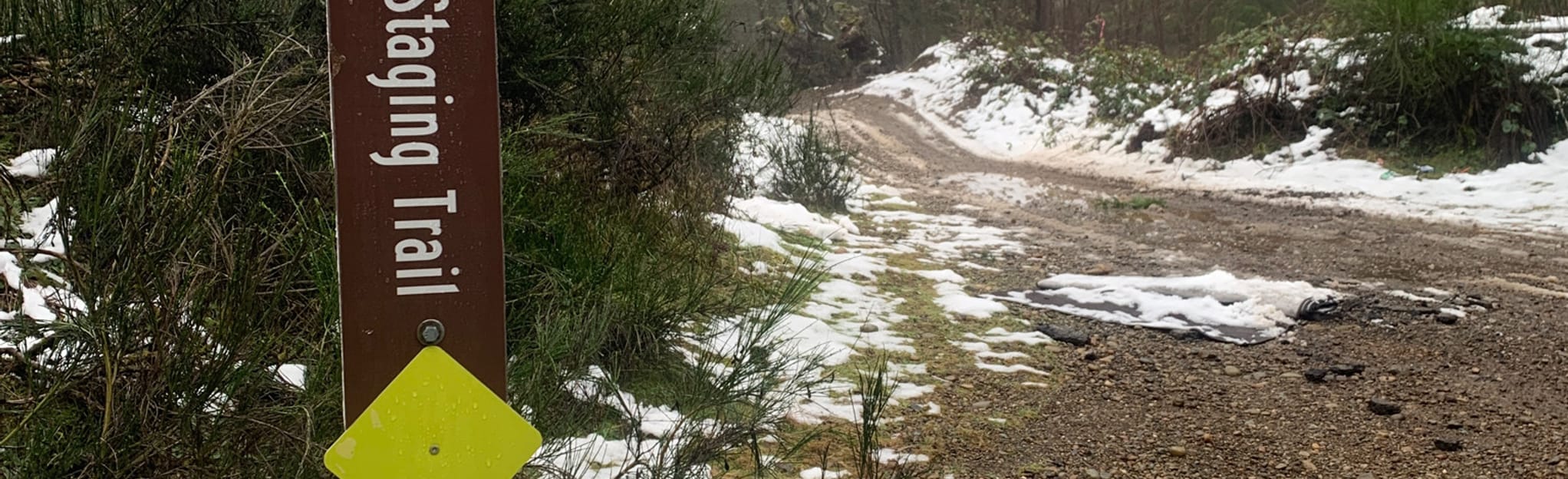 Tahuya River, Connector, and Mission Creek Trails Loop: 21 Reviews, Map ...