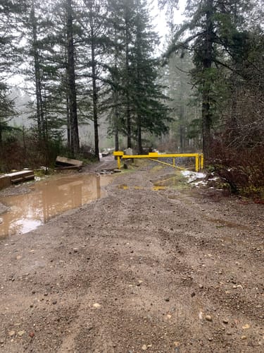 2023 Best Easy Trails in Tahuya State Forest | AllTrails