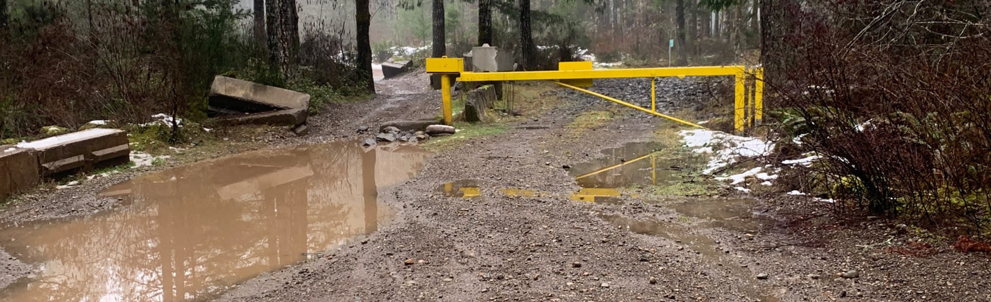 Tahuya River OHV Trail: 11 Reviews, Map - Washington | AllTrails