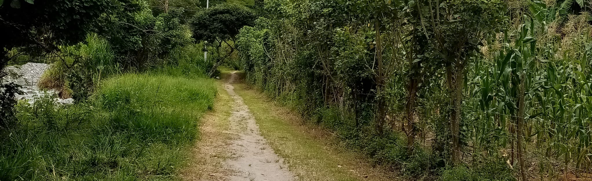 Vilcabamba Ecological Trail, Loja, Ecuador - 11 Reviews, Map | AllTrails