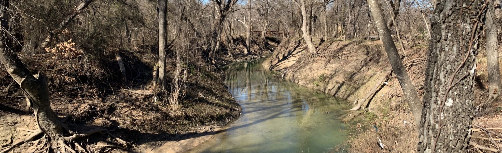 Redbud and Caddo Trail Loop | Map, Guide - Texas | AllTrails
