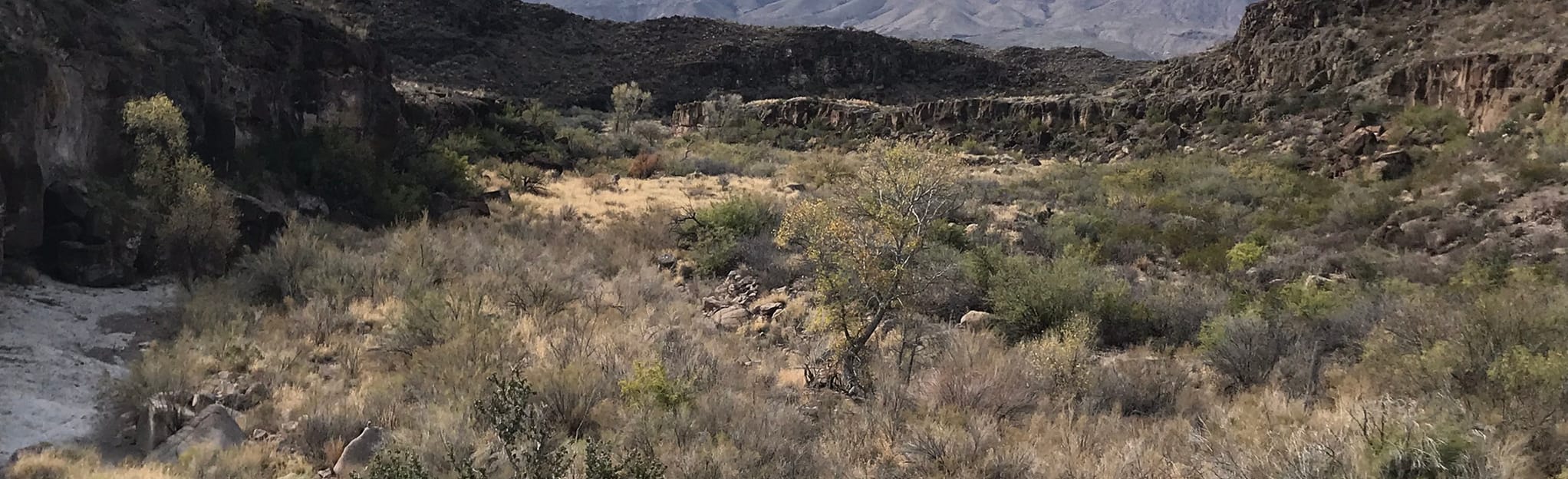 Rancherias Canyon: 31 Reviews, Map - Texas | AllTrails