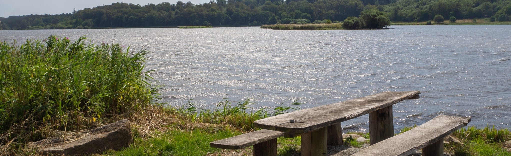 Hindemade - Haderslev Dyrehave : 78 Photos - Danemark-du-Sud, Danemark ...