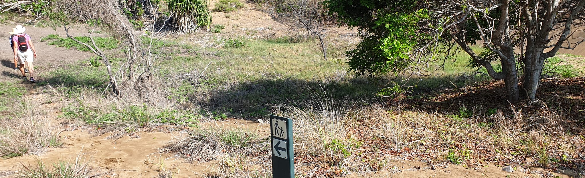 North Turtle Street Beach to Joey Lee's QNP Trail: 4 Reviews, Map ...