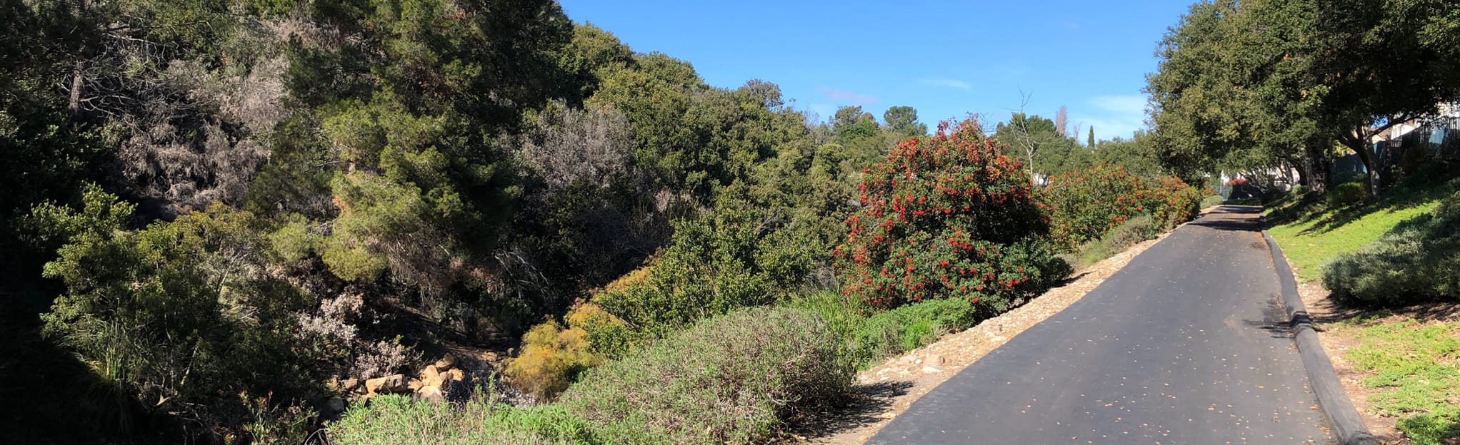 AllTrails | Stonecrest Village Trail: 164 Reviews, Map - California