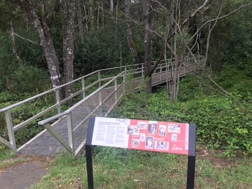 Best Hikes and Trails in Blue Tier Regional Reserve | AllTrails