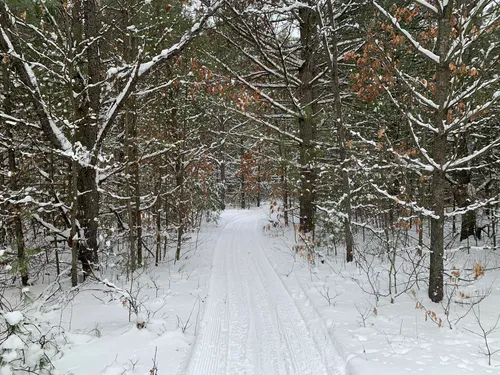 Best 10 Hiking Trails in Au Sable State Forest | AllTrails