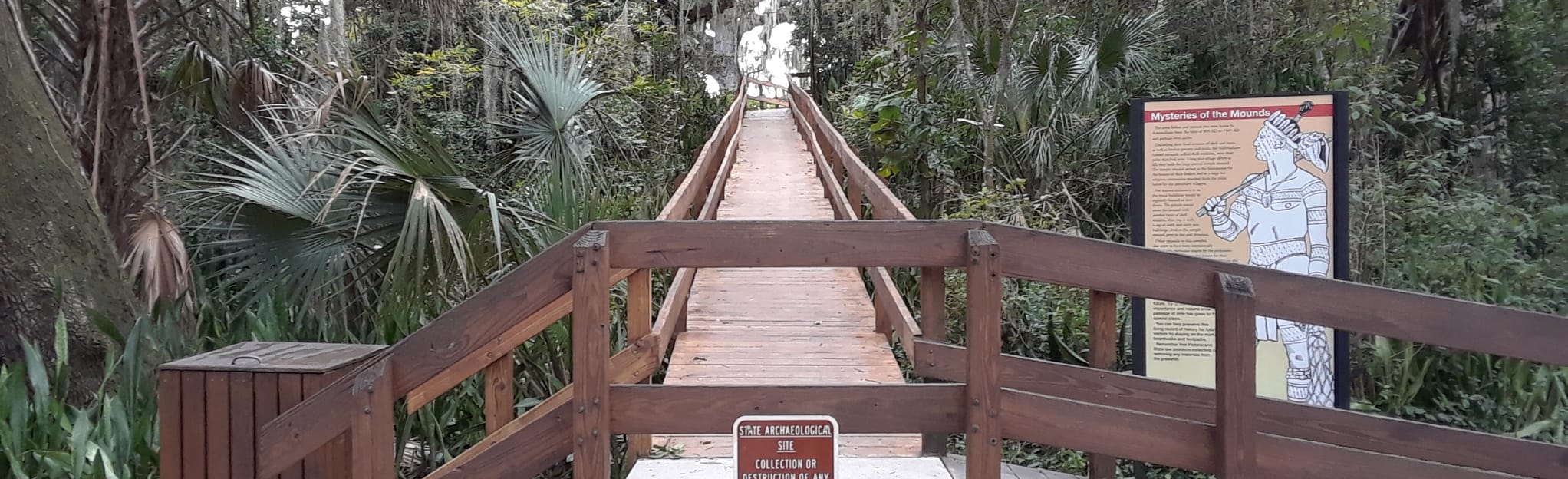 Portavant Temple Mound Trail, Florida - 79 Reviews, Map | AllTrails