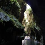 Patuna Chasm Walk, Wellington, New Zealand - 27 Reviews, Map | AllTrails