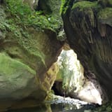 Patuna Chasm Walk, Wellington, New Zealand - 29 Reviews, Map | AllTrails