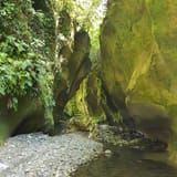Patuna Chasm Walk, Wellington, New Zealand - 29 Reviews, Map | AllTrails