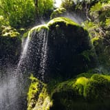 Patuna Chasm Walk, Wellington, New Zealand - 27 Reviews, Map | AllTrails