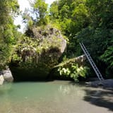 Patuna Chasm Walk, Wellington, New Zealand - 29 Reviews, Map | AllTrails