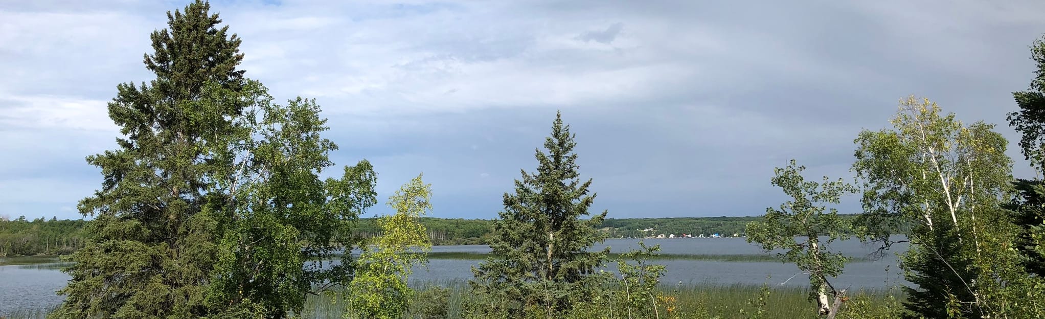 Marean Lake Birding Trail Loop: 12 Reviews, Map - Saskatchewan, Canada ...