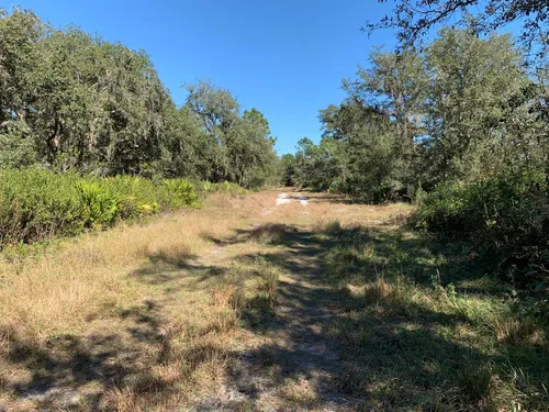 Best Hikes and Trails in Hilochee Wildlife Management Area | AllTrails