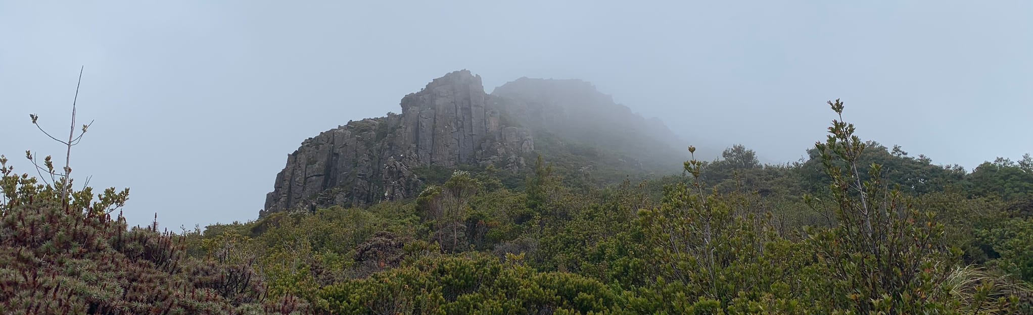 Mount Wedge Summit Track, Tasmania, Australia - 59 Reviews, Map | AllTrails