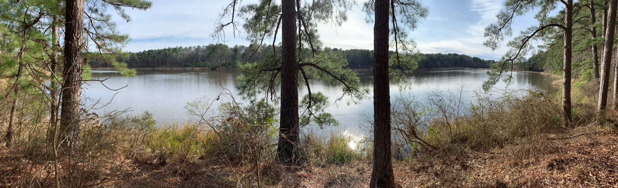 Valentine Lake Nature Trail, Louisiana - 99 Reviews, Map | AllTrails