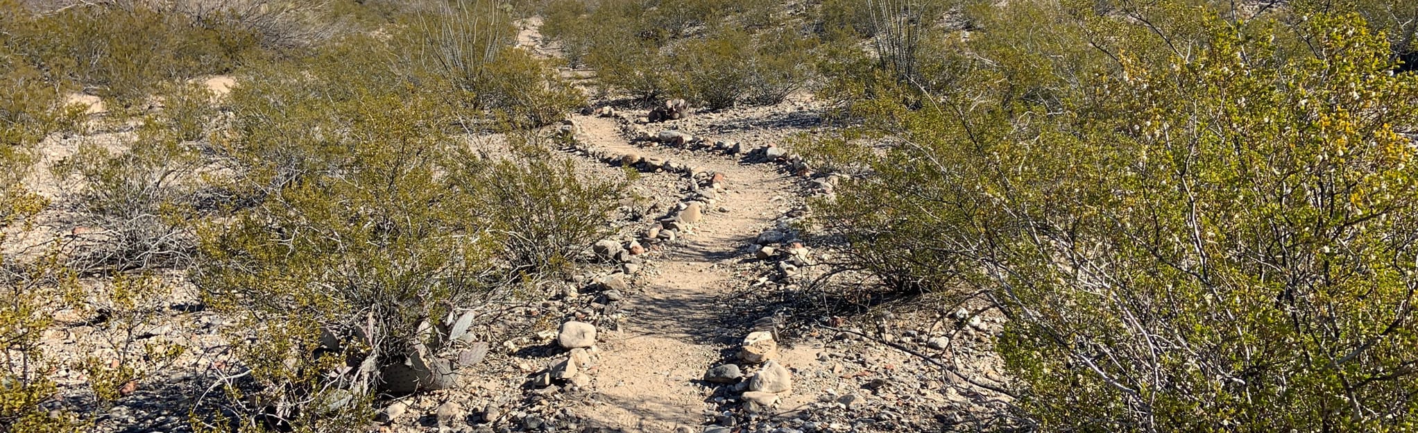 AllTrails | Resler Canyon: 116 Reviews, Map - Texas