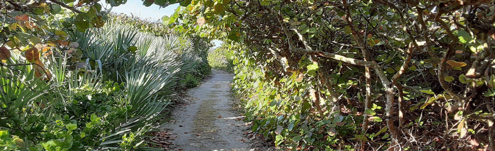 Blowing Rocks Nature Preserve: 84 Reviews, Map - Florida | AllTrails