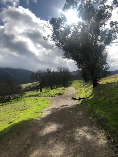 10 Best Waterfall Trails in Mount Diablo State Park | AllTrails