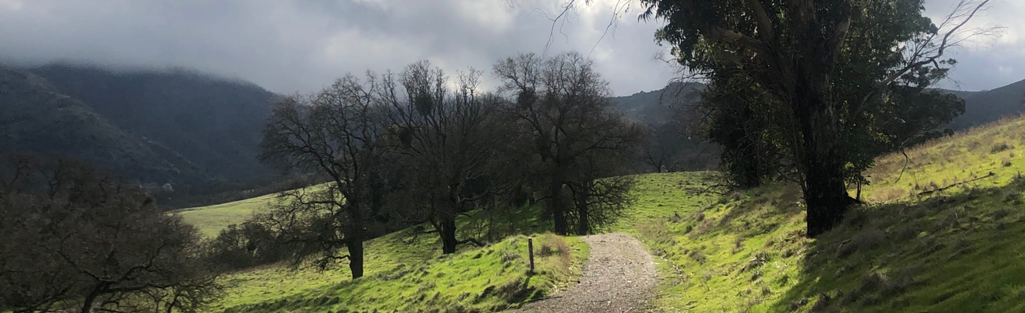 AllTrails | Back Creek Trail and Bald Ridge Trail to Mount Diablo ...